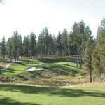 Circling Raven celebrates 15th year - Inside Golf Newspaper